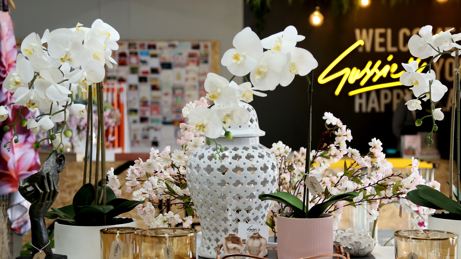 Visual Alchemy - A Multimedia & Graphic Design Studio